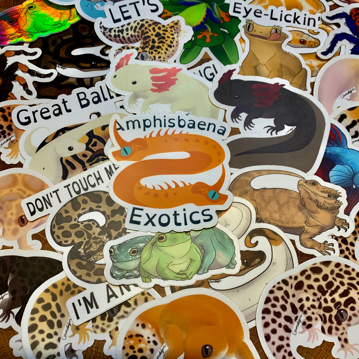 Decals / Stickers– Studio Zoologic