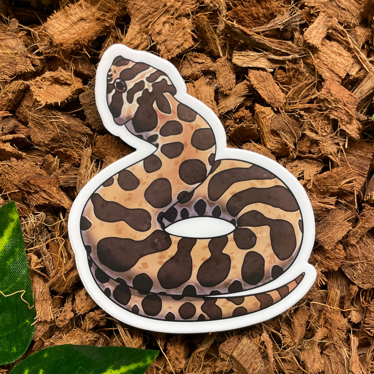 Hognose Snake, Normal Sticker– Studio Zoologic