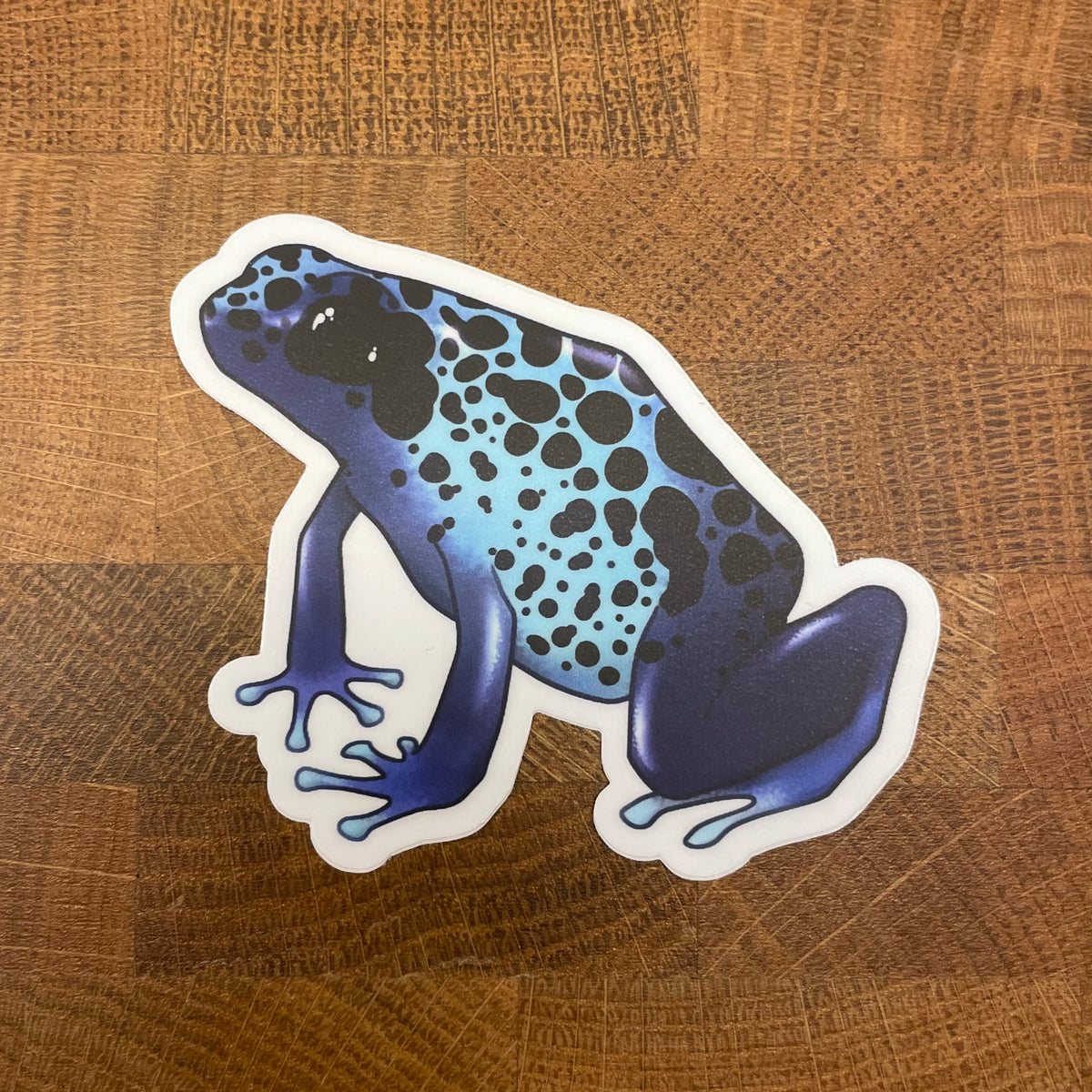 Blue Poison Dart Frog Sticker– Studio Zoologic