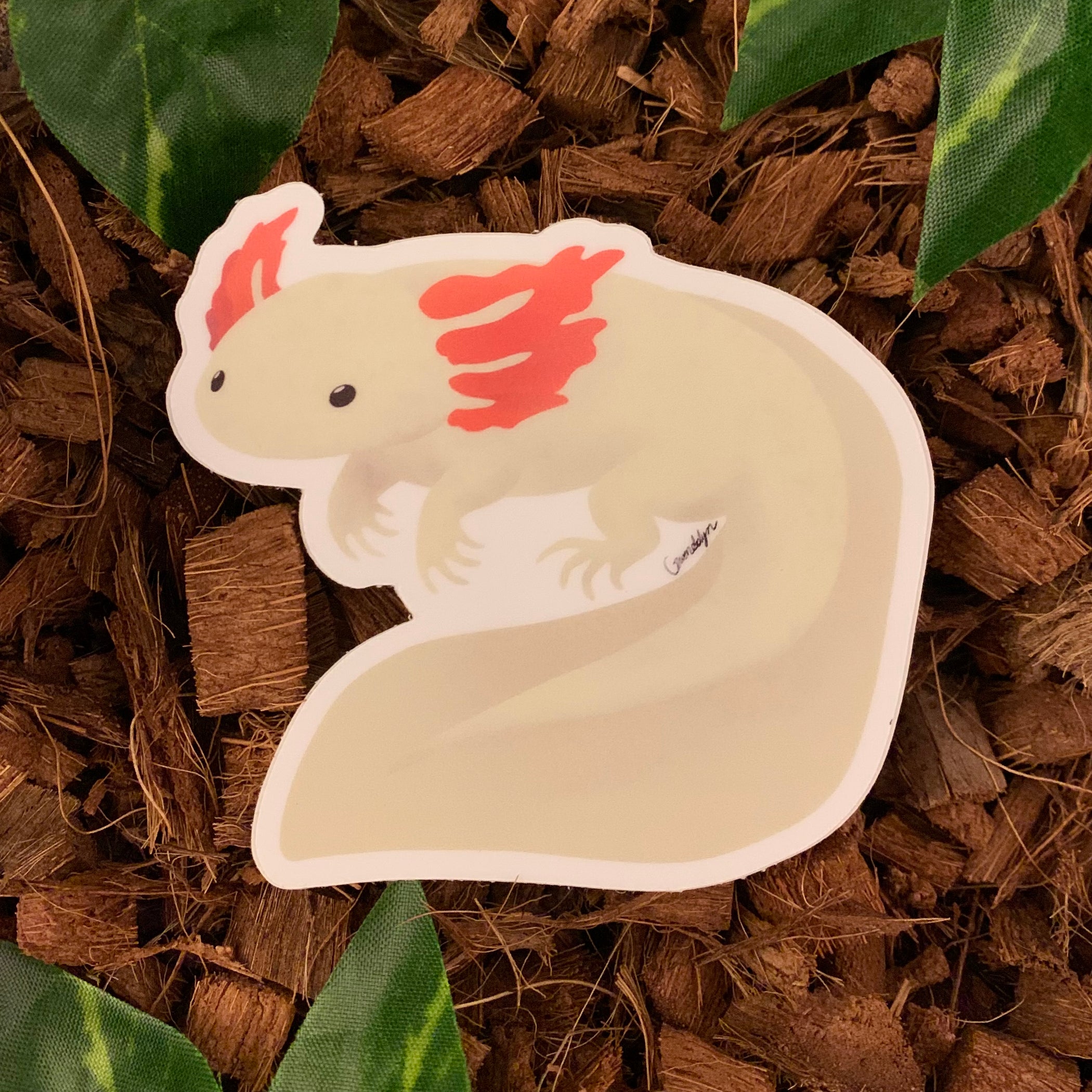 Moonlight Axolotl Sticker– Studio Zoologic