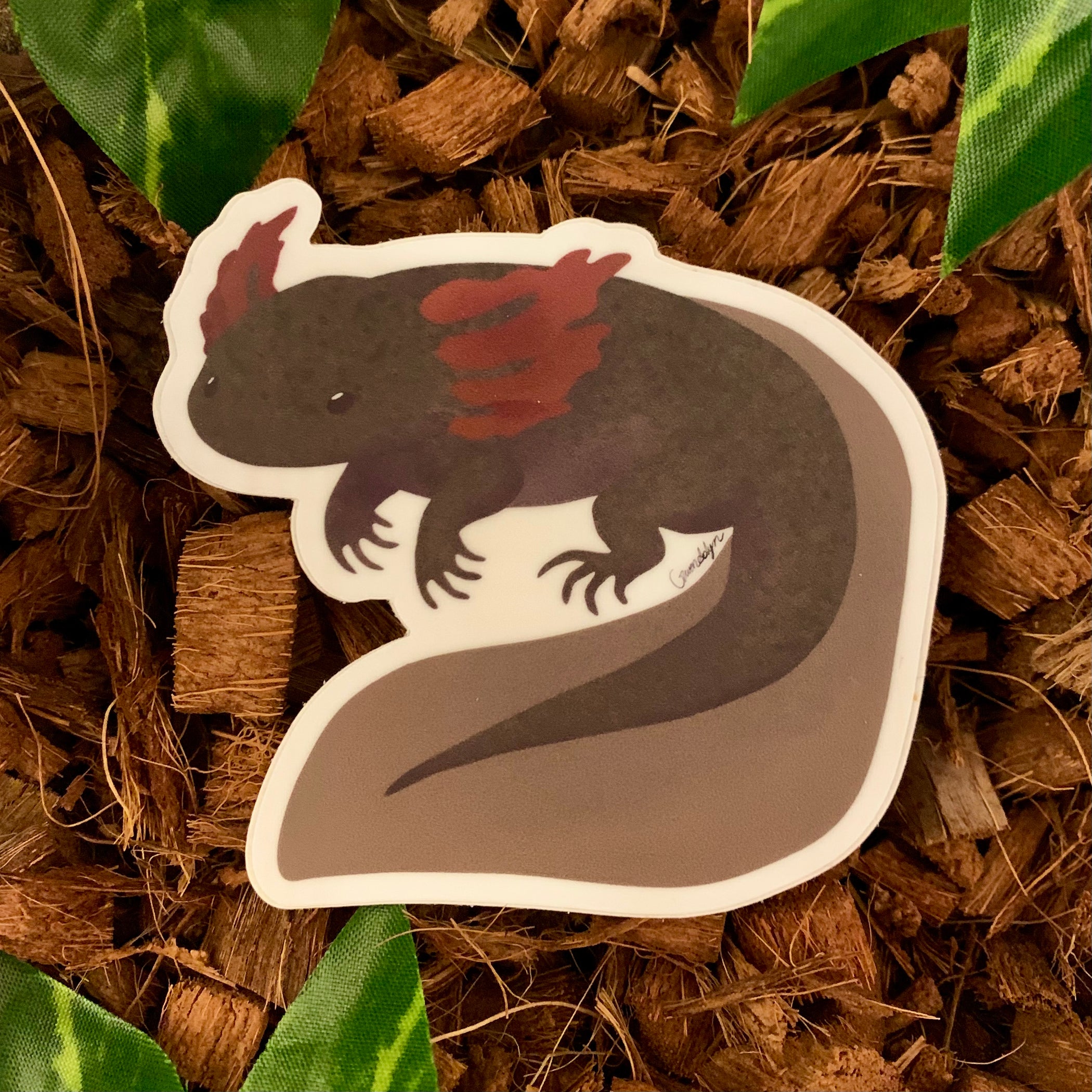 Midnight Axolotl Sticker– Studio Zoologic
