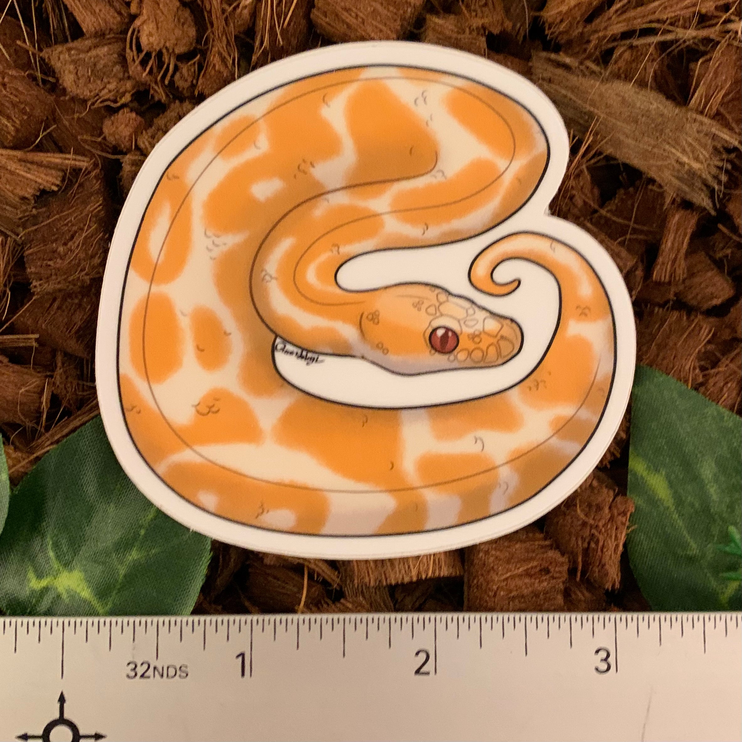 Albino Ball Python Sticker– Studio Zoologic