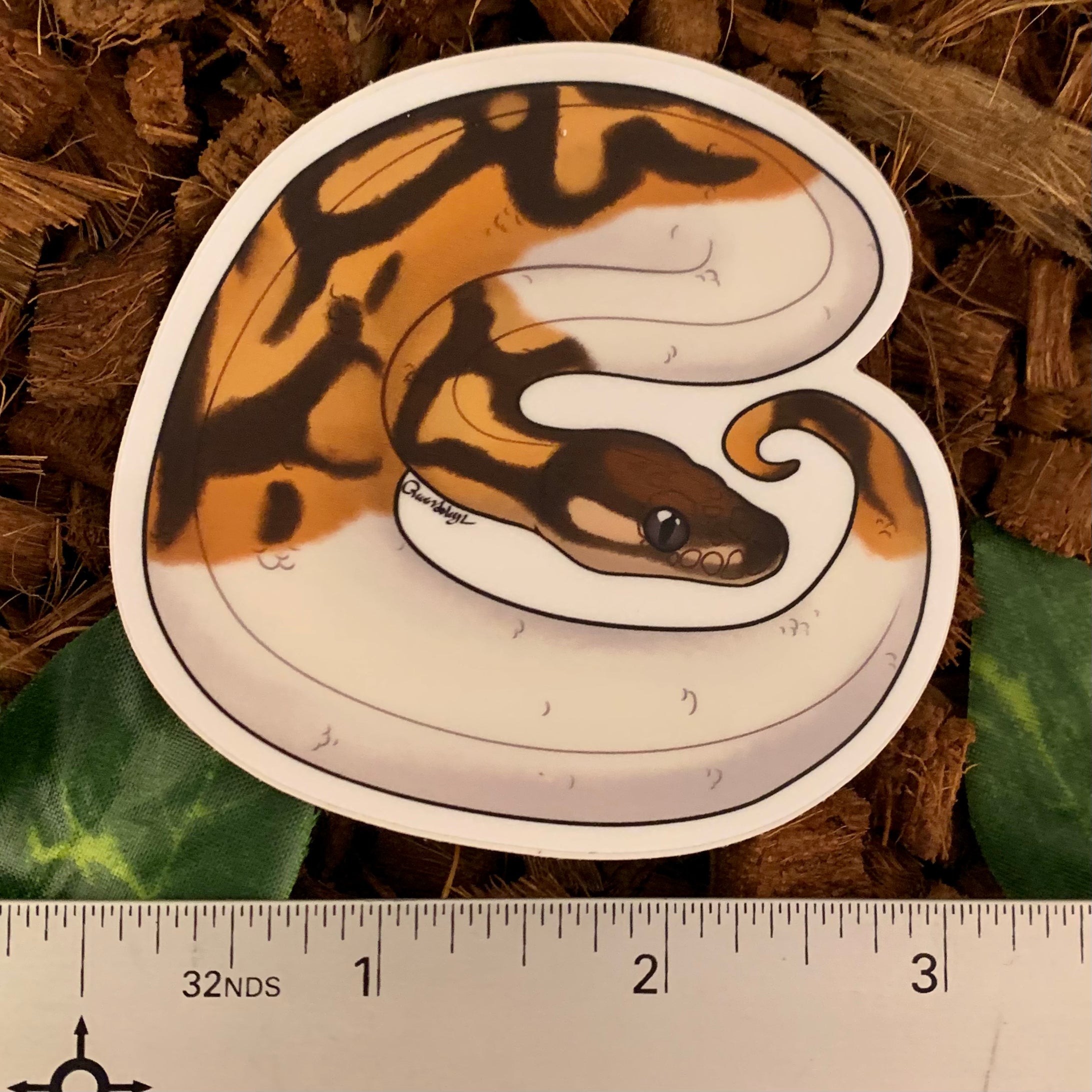 Piebald Ball Python Sticker– Studio Zoologic