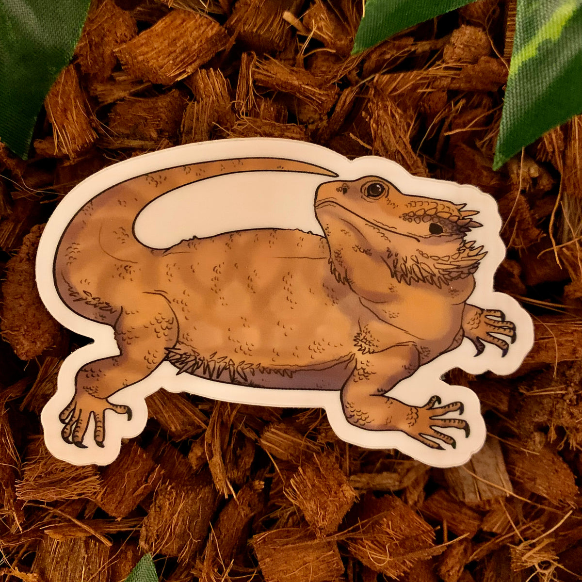 Bearded Dragon Sticker– Studio Zoologic