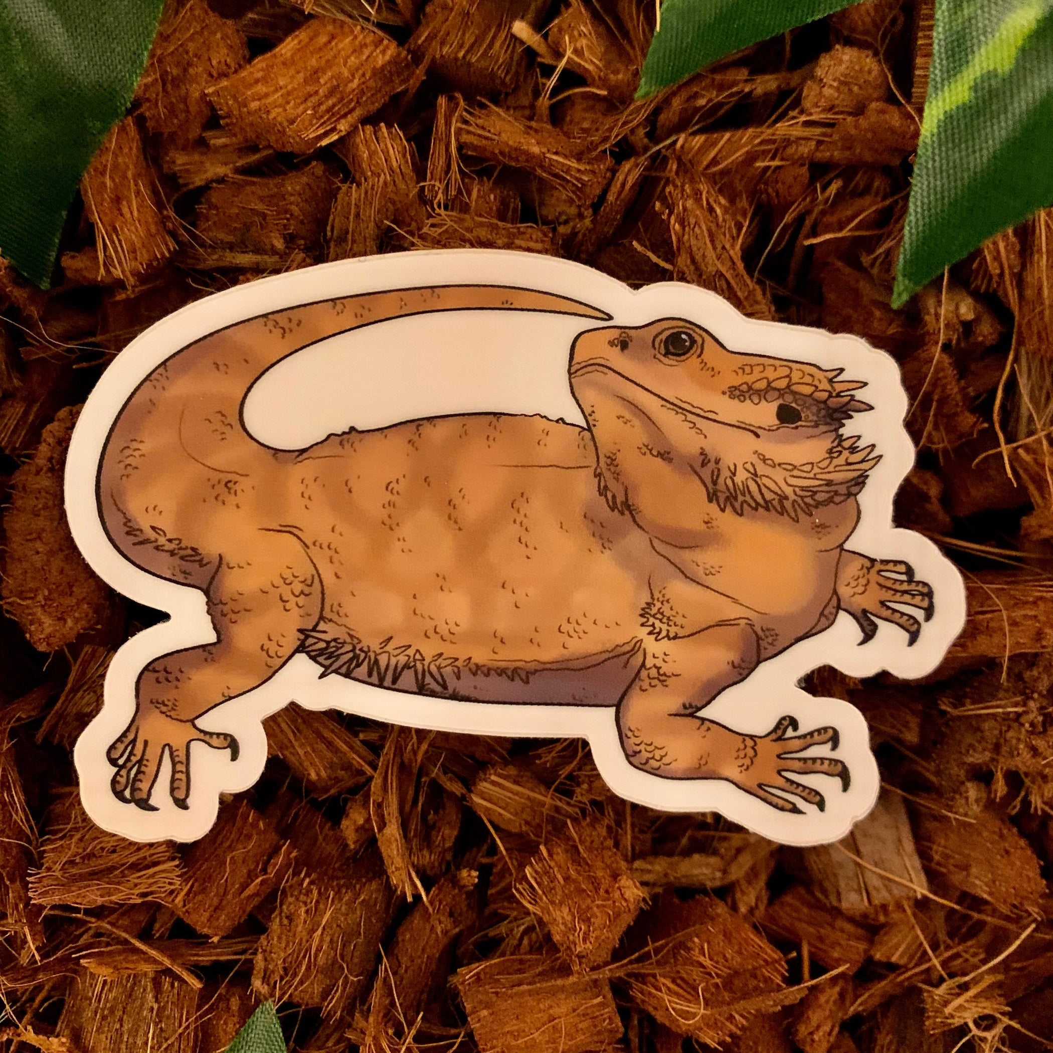 Bearded Dragon Sticker– Studio Zoologic