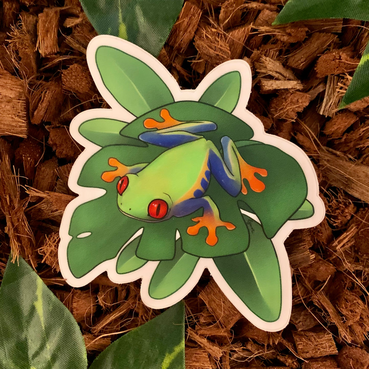 Red-Eyed Tree Frog Sticker– Studio Zoologic